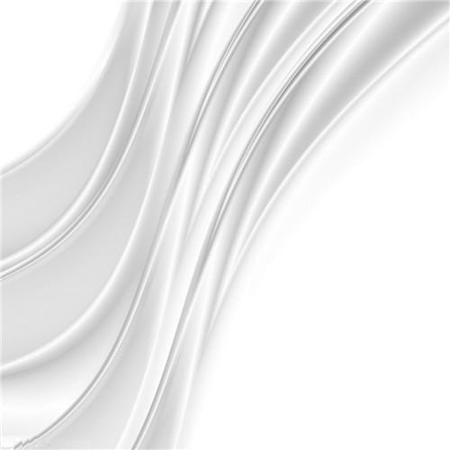 Silver Paste - JAPAN BELLEVIEW CO., LTD.